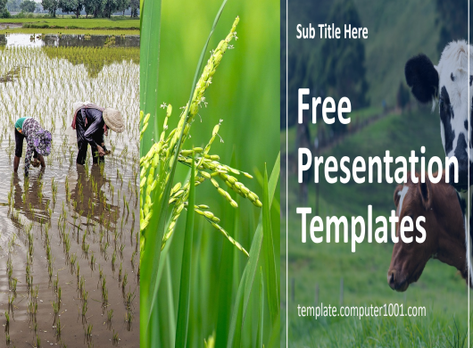 18 Template PowerPoint Pertanian & Peternakan